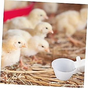 FONDOTIN 10 Sets Pigeon Drinker Poultry Waterer Food Serving Tray Bird Cage Chicken Drinking Tool Clear Drinking Glasses Pet Drinking Holder Bird Supplies Water Birdfeeder White Plastic