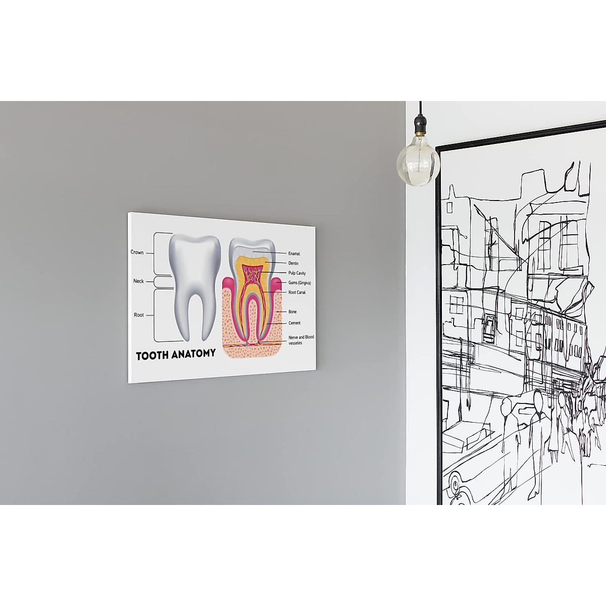 Dental Chart Wall Art Poster Dental Office Decor Nursing School Essentials Dental Medical Assistant Accessories Tooth Anatomy Science Posters Teacher Supplies Cool Wall Decor Art Print Poster 18x12