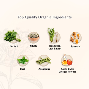 SoulFood Multivitamin — Certified organic multi-vitamin for dogs. Naturally cultured and whole-food based, up to 3 months supply.