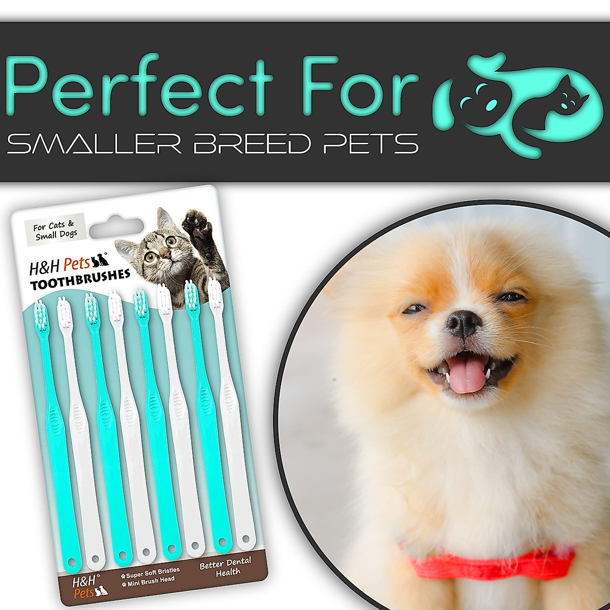 H&H Pets Toothbrush for Small Dogs & Cats - Soft and Small Toothbrush Designed for Cats, Puppies, and Small Breed Dogs Like Teacups, Chihuahuas, Yorkshire, and Poodle, 8 Count Pack