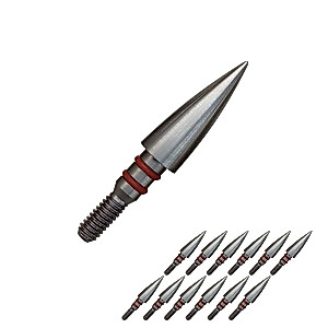 Aklisdlha Field Points arrowheads 100/125/150/200/300 Grains Archery Field Points,Stainless Steel Screw in Archery Field Tips and Broadheads (1 Dozen 12 PCS) (5/16″-100 Grains)