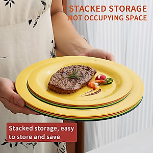 Evanda Plastic Plates 8 Pieces, Dinner Plates 7.5/10 inch Unbreakable And Reusable for All Purpose and All Age BPA Free, Microwave Safe Dishwasher Safe (Mutil Color)