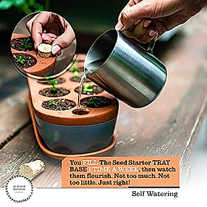 Seed Starter Tray - Self Watering Seedling Trays Seed Starter kit & seed starter pots. Grow Your flowers, veggies & Herbs Indoor. Eco Friendly seed starter pots & herb growing kit indoor seedling tray