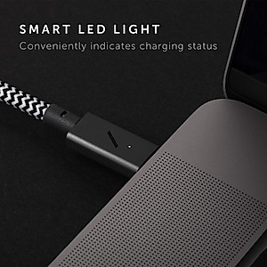 Native Union Type-C Belt Cable Pro - USB-C to USB-C 8ft Ultra-Strong Charging Cable with Leather Strap Compatible with MacBook Pro 2017-2020, MacBook Pro 13" M1/ M2, Air 13" M1, Surface Go 3 (Zebra)