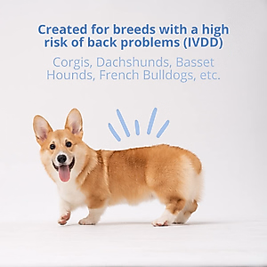 Under The Weather Pet Disc & Spine Health Chews for Dog | Vet Formulated Dog Chews Spinal Disc Support Supplement | Great for Dachshunds & Long Back Breeds with IVDD, Back & Joint Arthritis