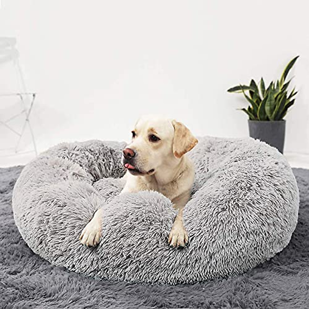 HACHIKITTY Dog Beds Calming Donut Cuddler, Puppy Dog Beds Large Dogs, Indoor Dog Calming Beds Large,30''