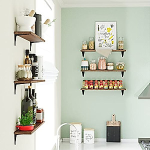 Wallniture Arras Floating Shelves for Wall, Bookshelves & Wall Storage Shelves for Living Room Decor, Office, Bedroom Walnut 24" Bookshelf Set of 6