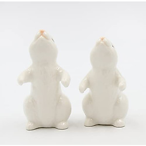 Cosmos Gifts 21011 Hugging Rabbits Salt and Pepper Shaker,White