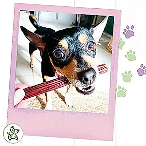 Nature Gnaws Beef Jerky Sticks for Dogs - Premium Natural Beef Gullet Bones - Simple Single Ingredient Tasty Dog Chew Treats - Rawhide Free - 5-6 Inch