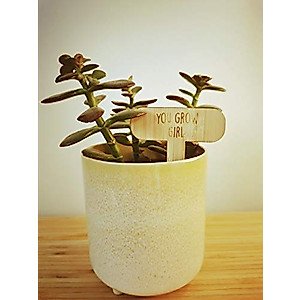 Funny Plant Markers - Joke Punny Garden Stakes - Ideal for That Garden Lover - Indoor Outdoor Plant Label Sign Markers (Joke Set)