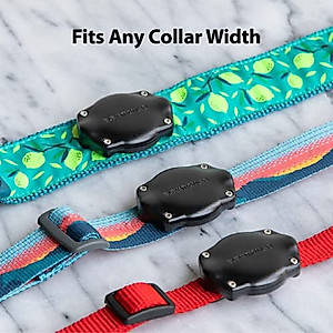 TagVault Pet: The Original AirTag Dog Collar Waterproof Mount, Ultra-Durable, Fits All Width Collars | Elevation Lab