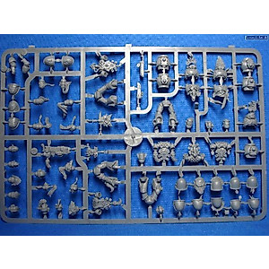 Space Wolves Marine Tactical Pack Warhammer 40k Wolf