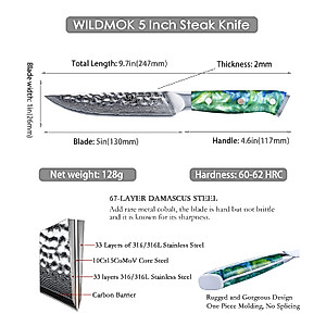 WILDMOK Steak Knives Set of 4 Damascus Steel Steak Knives 5 Inch Ultra Sharp Serrated Steak Knife Set with Resin Handle Kitchen Knives Set with Gift Box