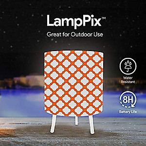 5x7 Inch LED Desk Lamp - Light Orange Clover Custom Canvas Printed Table Light 16 Colors - 5 Level Dimmer - 4 Lighting Effects - Rechargeable Light - Remote Control. by LampPix Made in The USA.