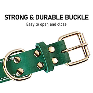 Leather Dog Collar for Medium Dogs with Braided Leather Dog Leash 4 Foot x 5/8"