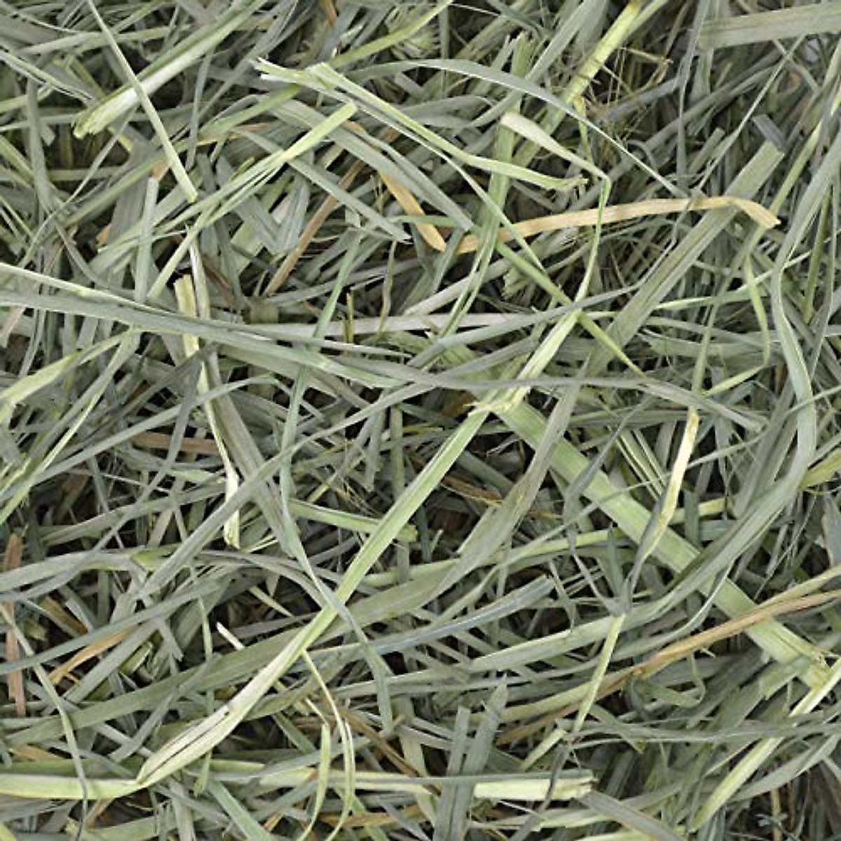 Oxbow Animal Health Orchard Grass Hay - All Natural Grass Hay for Chinchillas, Rabbits, Guinea Pigs, Hamsters, Gerbils & Other Small Pets - Fiber Rich- Grown in the USA- 9 lb.
