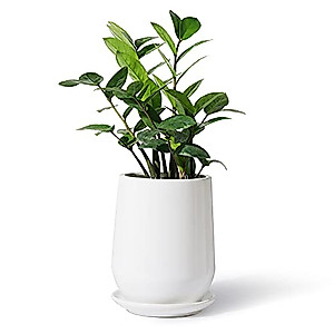 POTEY White Planter Pots for Plants Indoor - 5.3 Inch Glazed Ceramic Plant Pot with Drainage Hole & Saucer for Plants Home Decor 050301, Plants NOT Included