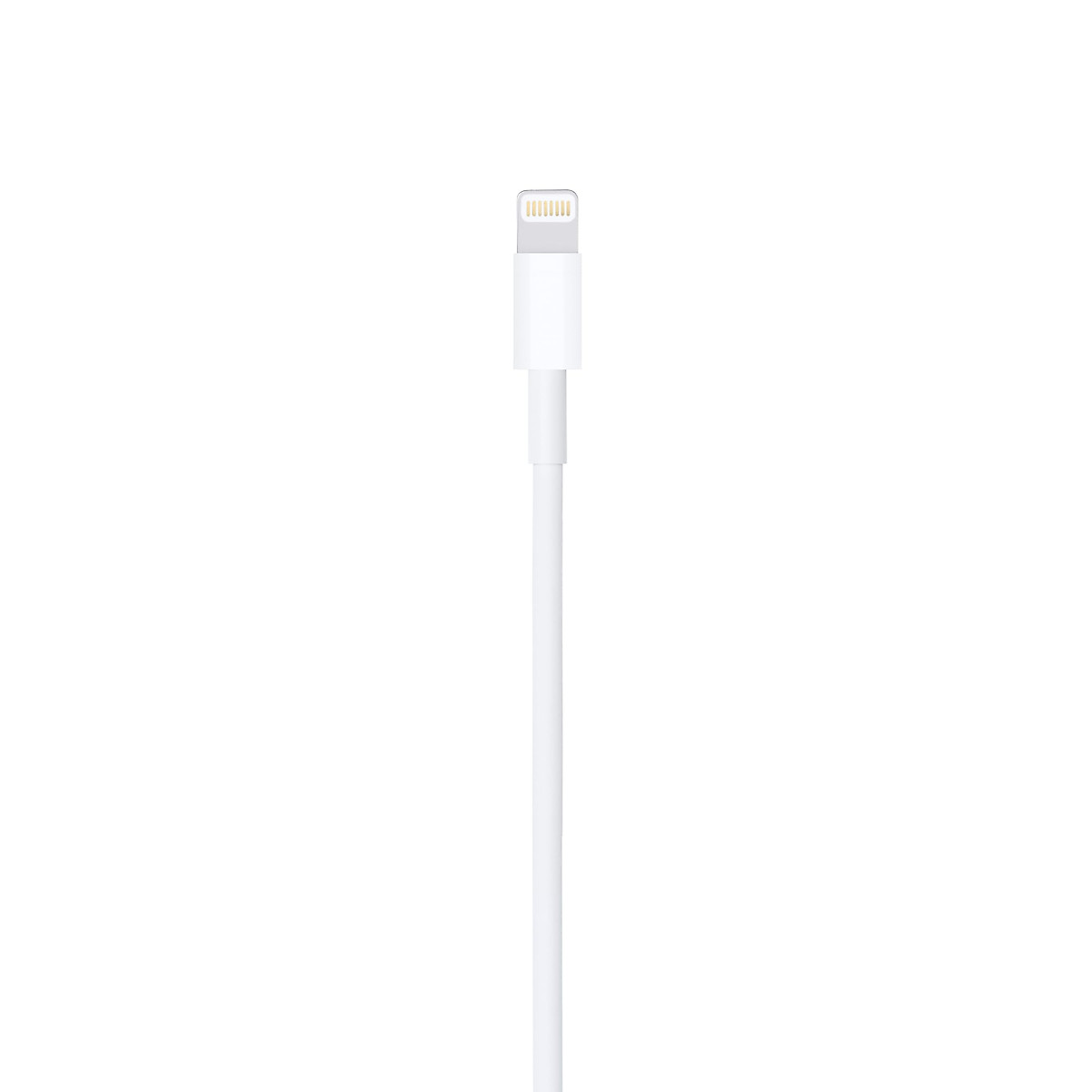 Apple Lightning to USB Cable (2 m)
