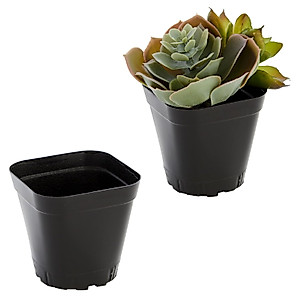 Juvale 150-Pack 2 Inch Plastic Seedling Pots for Plants, Small Square Starter Nursery Planters for Starting Seeds, Flowers, Succulents, Propagating, Indoor Garden (Black)