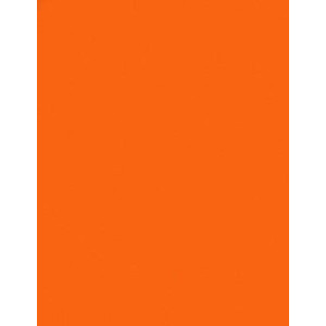 Bundle - 2 Cardstock Items - Red - 8.5 x 11 inch - 65Lb Cover; Orange - 8.5 x 11 inch - 65Lb Cover - 100 Sheets Total - Clear Path Paper