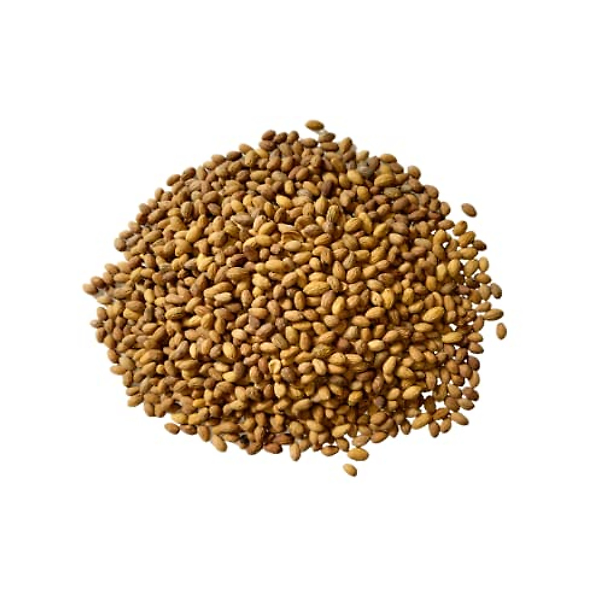 SMART CAT BOX Starter Kit - Cat Litter Box - Preferred for Reducing Odor & Easy Cleaning - Made in The USA