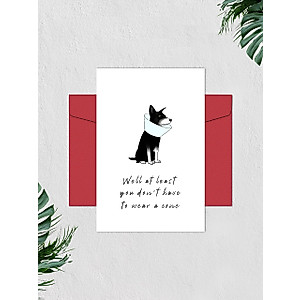 Heollaok Funny Recovery Card for Him Her, Humorous Get Well Soon Card for Friends, Well at Least You Don't Have to Wear a Cone Card, Cute Pug Cone Card