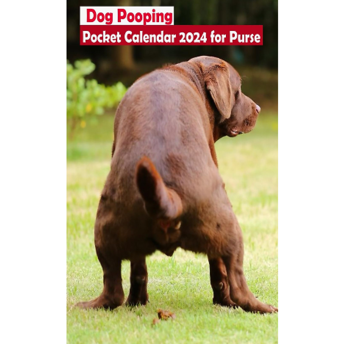 Pocket Calendar 2024 for Purse: Calendar Book Small Size Monthly Planner Organizer, 12 months from January to December with US Federal Holidays, and Moon Phases. | dog Pooping