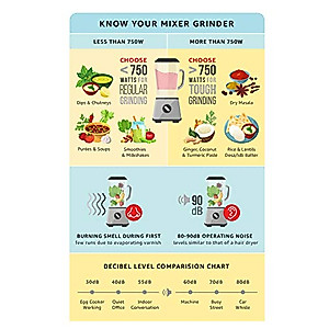 Preethi Blue Leaf Platinum 550 Watts 3 Jar Indian Mixer Grinder 110 Volts