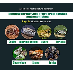 Woyrise Reptile Artificial Plants Terrarium Decor 0002-2, Amphibian Habitat Hideout Decor fit Bearded Dragon Crested Gecko Leopard Lizard Chameleon Ball Python Snake Frog