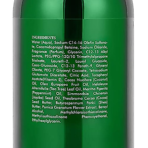 Tea Tree Body Wash & Shower Gel with Vitamin E for Jock Itch, Eczema, Ringworm, Body Odor, Acne, Body Wash Women & Men with Added Body Oils, LARGE 20.2 FL Oz Bottle (Tea Tree, Pack of 2)