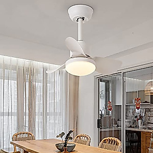 EMIKIRII Ceiling Fan with Lights and Remote,21'' Small Modern Ceiling Fan,Smart APP Control,Dimmable Metal Blades Flush Mount Quiet Mini Ceiling Fans Lights for Kitchen Dining Room Bedroom