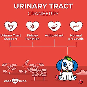 Cranberry for Dogs - 120 Chewable Tablets - Urinary Tract Support, Bladder Support for Dogs, Dog UTI, Bladder Stones, Dog Incontinence Support, Cranberry Supplement for Dogs