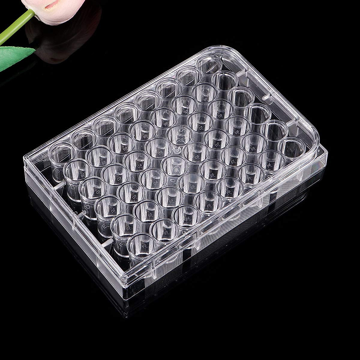 UKCOCO Plastic Premium Culture Plate 48 Well Cell Culture Plate for Lab