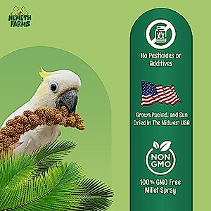 Nemeth Farms Worlds Freshest Sun-Dried Spray Millet Non-GMO and Pesticide Free (No Stems Only Edible Tops) Healthy Bird Treat and Supplement for All Pet Birds Keets Cockatiels Finches-1lb