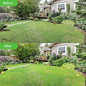 MAGIC CAT Snake Repellent for Yard Powerful, 20 Pack Snake Away Repellent Pet Safe for Yard Lawn Garden Camping Fishing, Natural Plant-Based Repellent Balls for Outdoor & Indoor Snake Control