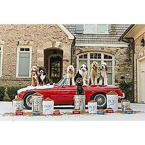 Harry Barker White Classic Food Storage Canister For Dogs, Large 40 Pounds of Food