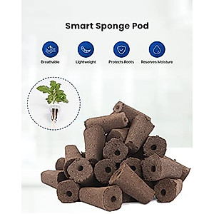 iDOO Hydroponics Growing System, Indoor Herb Garden Starter Kit with LED Grow Light, Smart Garden Planter for Home Kitchen, Automatic Timer Germination Kit