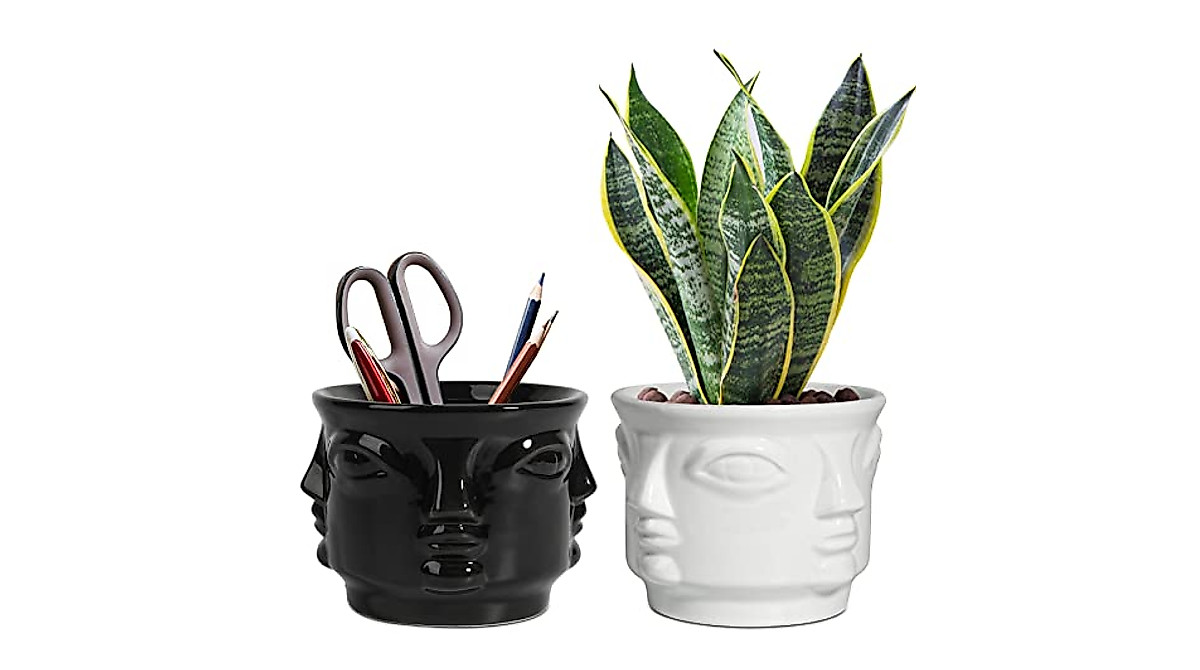 T4U Face Succulent Pots 2-Pack - Stylish Ceramic Plant Planters