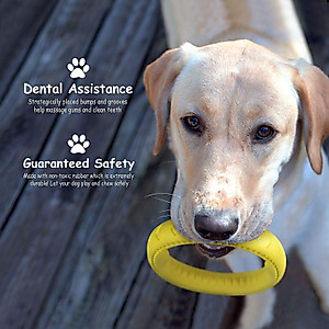 Fluffy Paws Dog Chewing Ring - Soft Rubber Ring Dental Chewing Teething Biting Chasing Training Toy for Small and Medium Dog Puppy - 7", Yellow