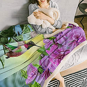 Comfort Her Zon Sherpa Fleece Throw Blanket 49 x 59 Inches Spring Hummingbird Bird Flower Fuzzy Soft Flannel Blanket Reversible Ultra Luxurious Plush Blanket for Bed Couch Sofa- Pink Floral Animal