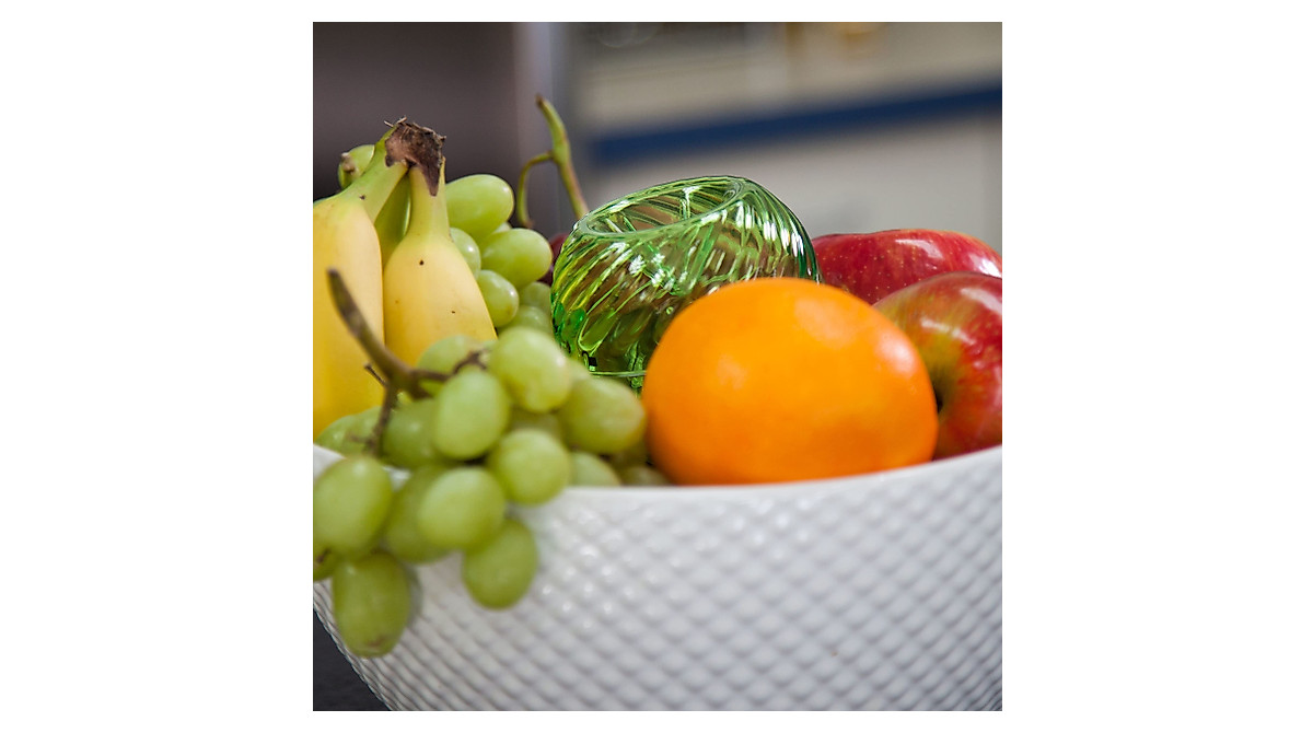 FlyFix Fruit Fly Trap - Effective Indoor Solution