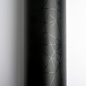 Stainless Steel Mug, Vacuum Insulated Coffee Travel Mug (16-Ounce, Black)