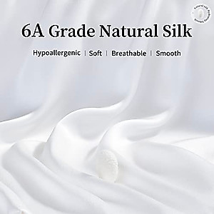 SAKIAO 25 Momme Silk Pillowcase Queen Size for Hair and Skin - Silk Pillow Case Slip - Anti Aging, Acne Free - Mulberry Silk Pillow Covers with Reinforced Zipper (Queen, Off White)