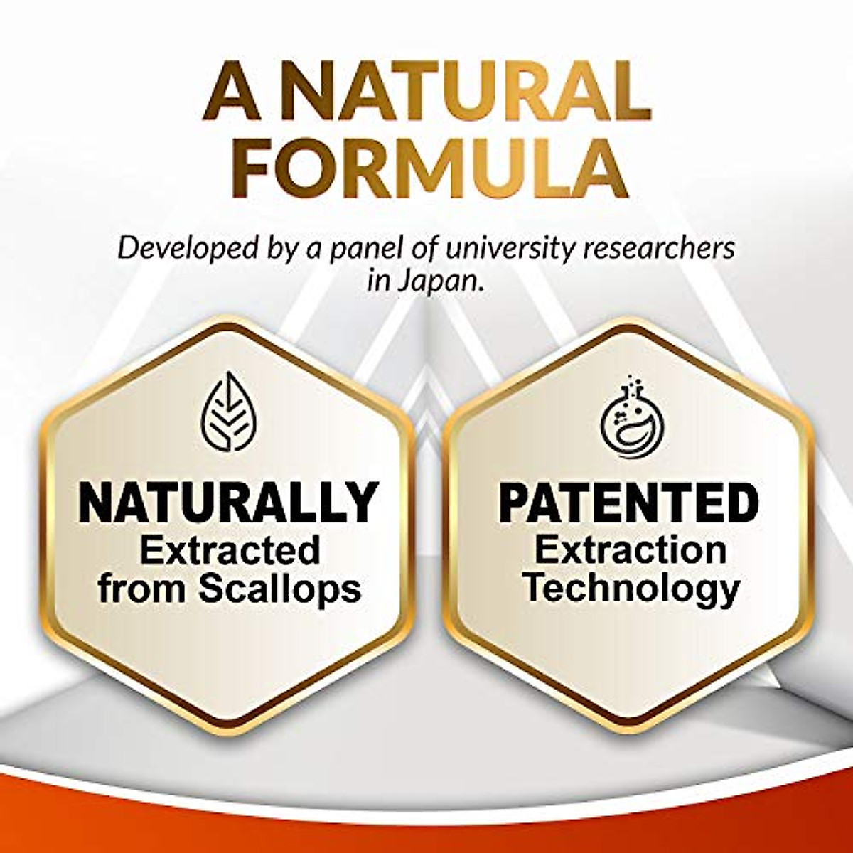 LABO Nutrition VesseCLEAR EX + NeuroREGAIN: Nattokinase NSK-SD, Elastin F for Clean & Flexible Blood Vessel, Cardiovascular & Circulation Support, Scallop-derived PLASMALOGEN for Brain Deterioration