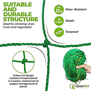 QueenBird Trellis Netting - Heavy Duty Garden Trellis Netting for Climbing Plants - 5.9 Feet X 32.8 Feet -Very Strong Support for Vegetables, Clematis, Cucumber,Tomatoes and Vine Plants