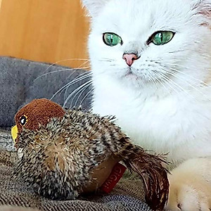 GIGWI Melody Chaser Motion Activated Bird, Black (G10052A1)