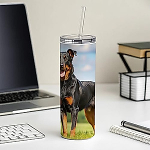 Beauceron Dog Photo Skinny Tumbler 20oz with Straw Insulated Water Bottle Gift