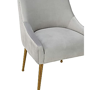 TOV Furniture Beatrix 19" Transitional Velvet Side Chair in Light Gray