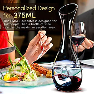NUTRIUPS Wine Decanter with Stopper Wine Decanters and Carafes Hand Blown Wine Aerating Decanter Wine Carafe Decanter Pierced Decorative Snail Red Wine Decanters with Lid