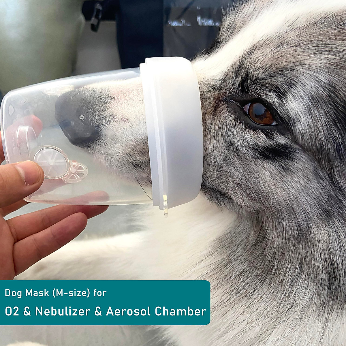 Canine Nebulizer and Inhaler Mask for Cats and Dogs, Oxygen Mask for Pets (M - Medium Dogs)